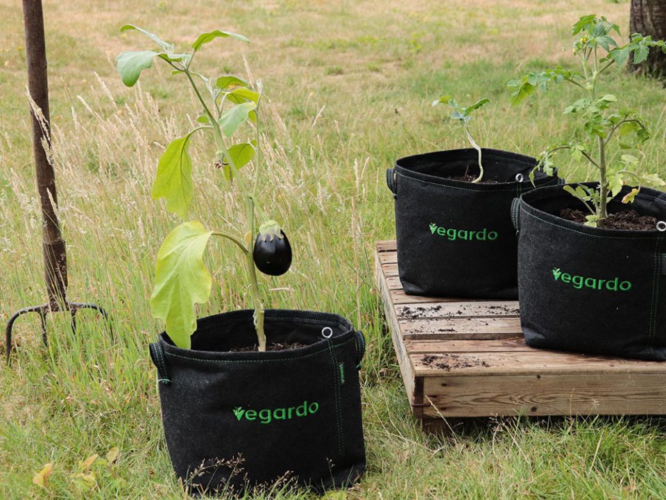 Promotional Pots – Gronest® – High-Quality Fabric Pots for Healthier ...